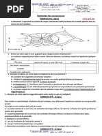 Cour Et Bilan Ppse Et Ppsi Sommation Temporelle Et Spatial | PDF ...