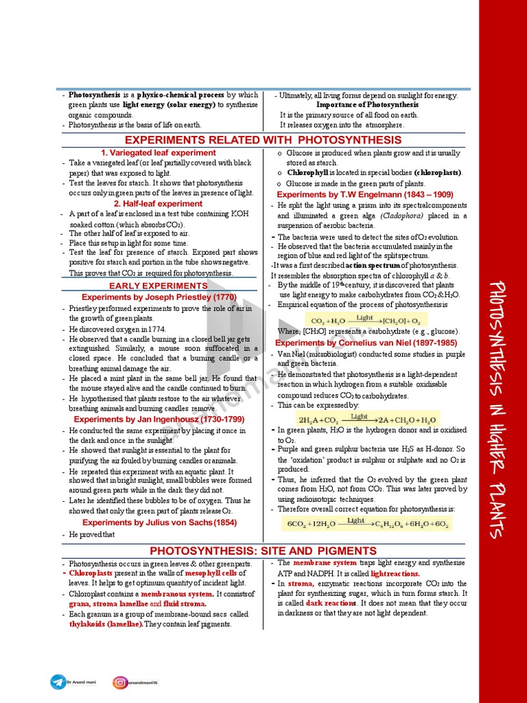 Photosynthesis Process and Experiments | PDF | Photosynthesis | Chlorophyll