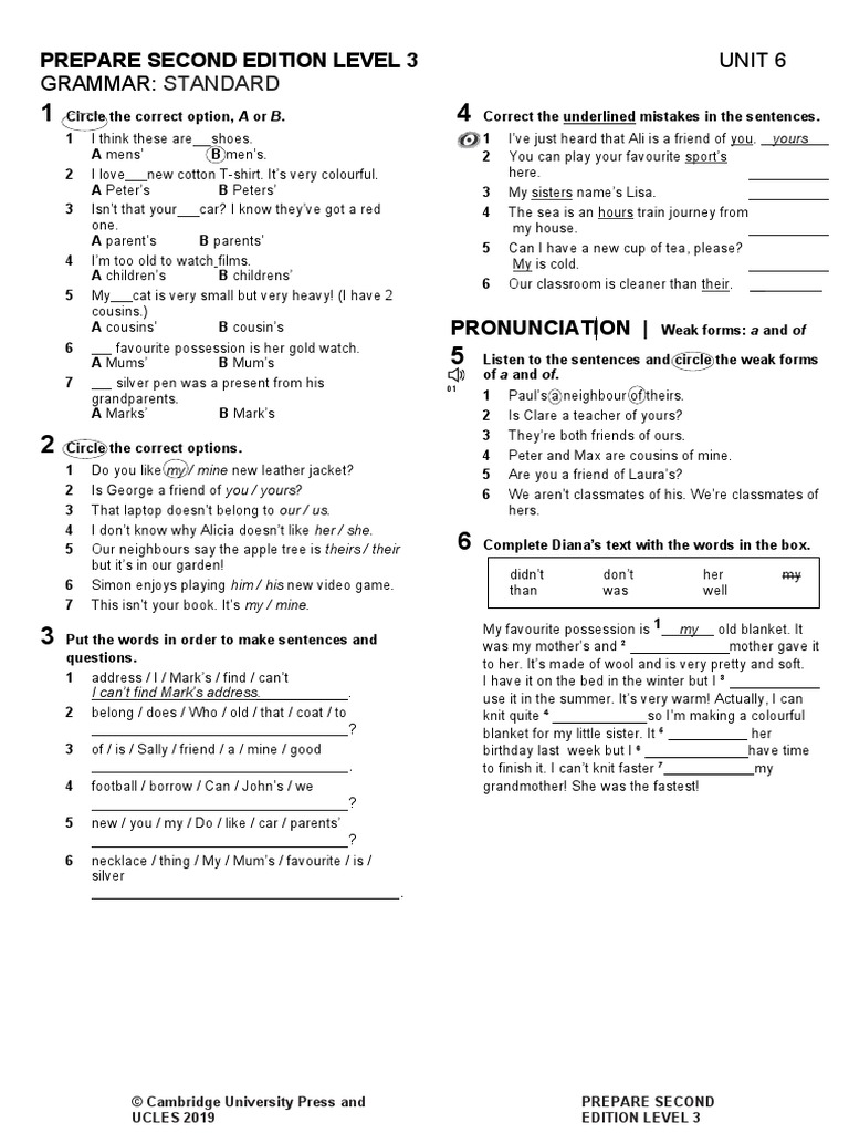 PREPARE 3 Grammar Standard Unit 06 | PDF