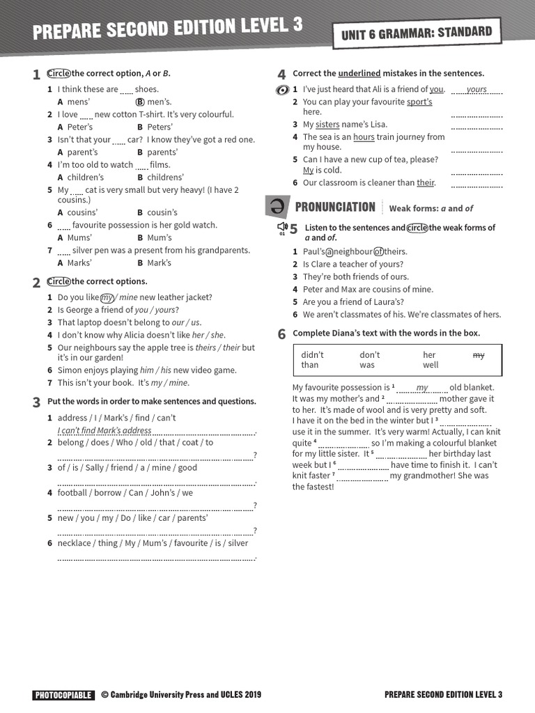 PREPARE 3 Grammar Standard Unit 06 | PDF