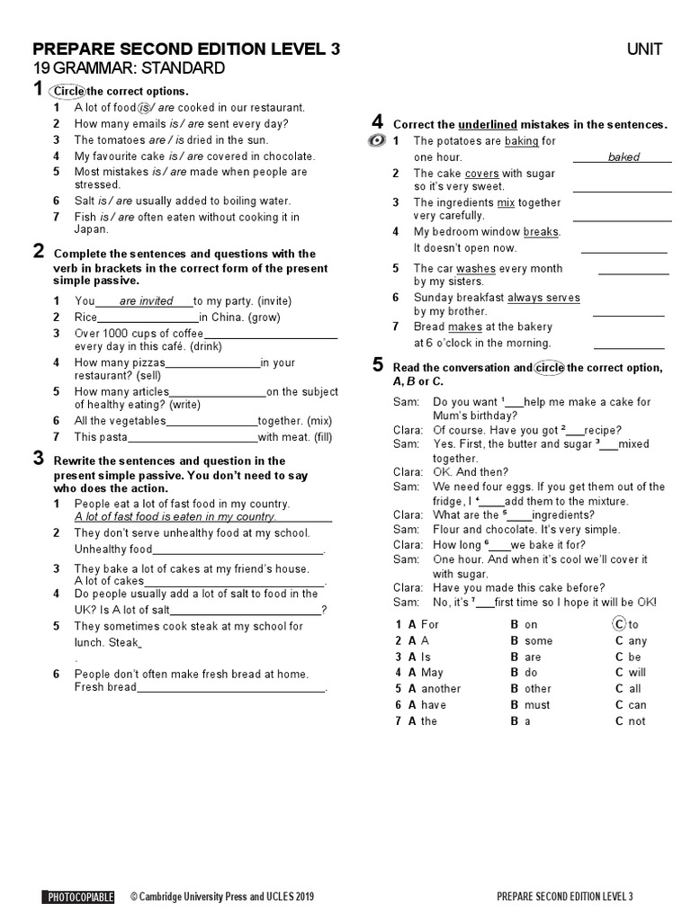 PREPARE 3 Grammar Standard Unit 19 | PDF | Cakes | Breads