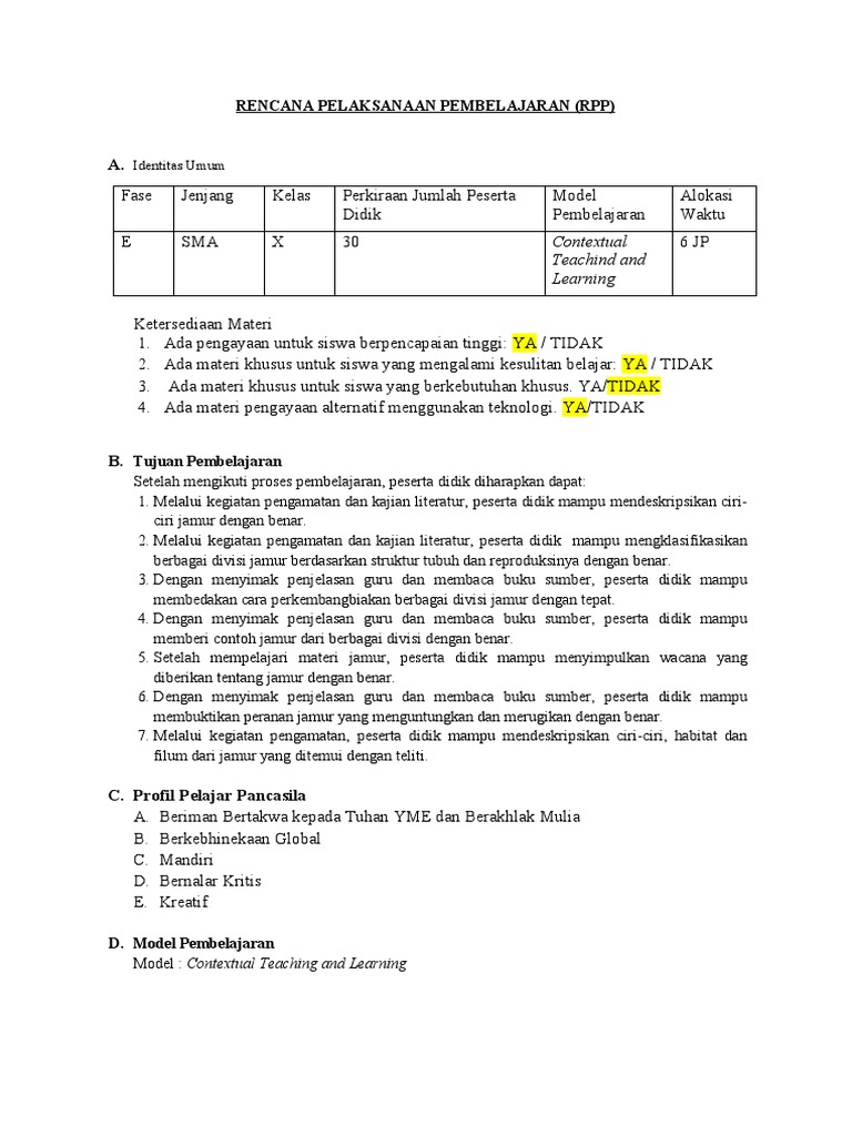 RPP Prinsip Pengajaran | PDF