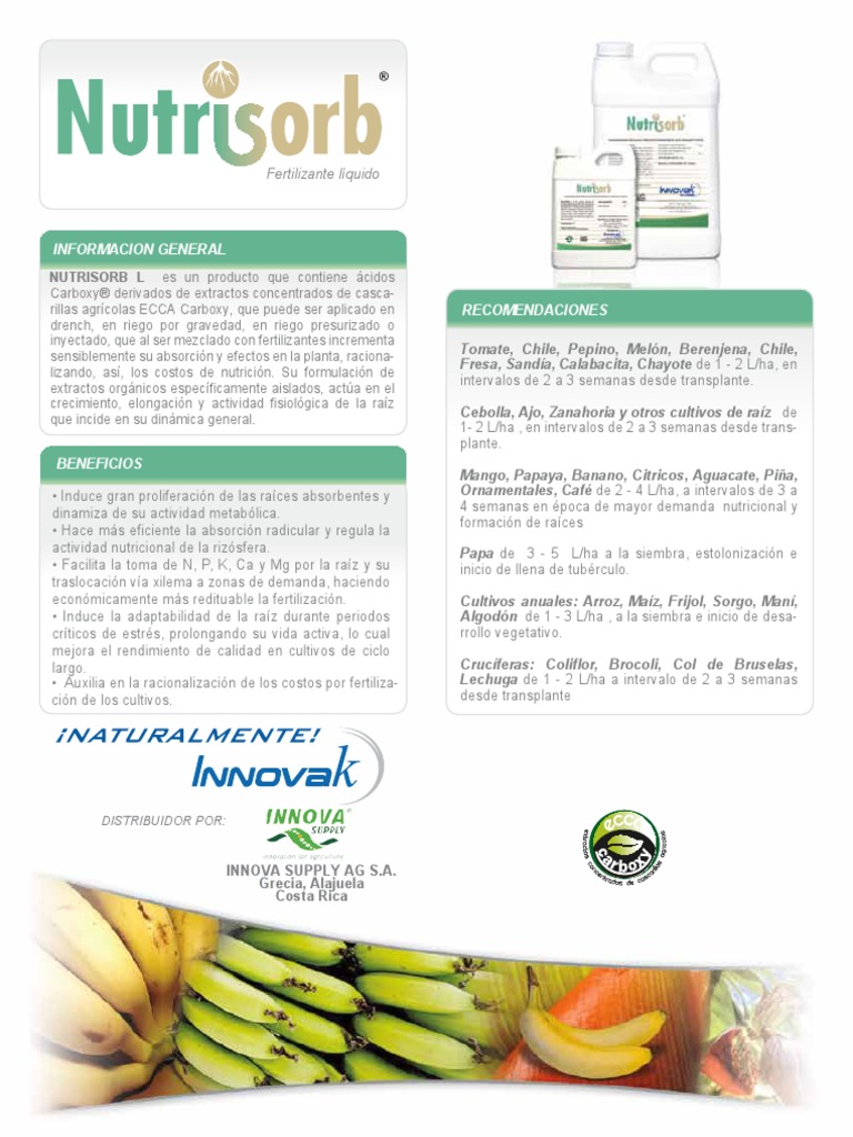Beneficios de Nutrisorb L en Cultivos | PDF | Raíz | Agricultura