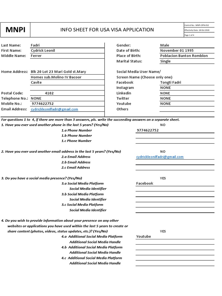 012 - Info Sheet For USA Visa Application Rev 2.00 | PDF | Social Media ...