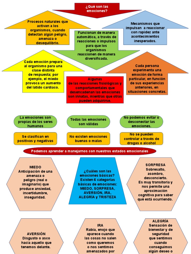 Qué Son Las Emociones Pdf Las Emociones Ira