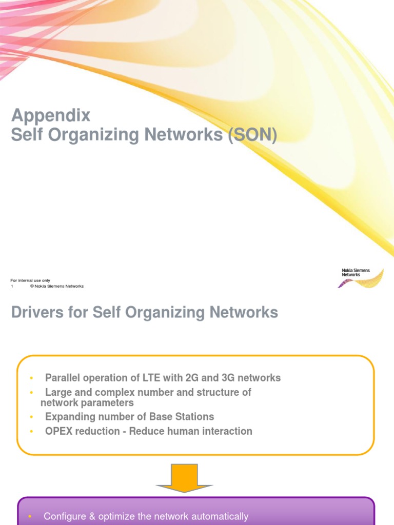 LTE Radio Parameters - SON | PDF | Domain Name System | Computer Networking