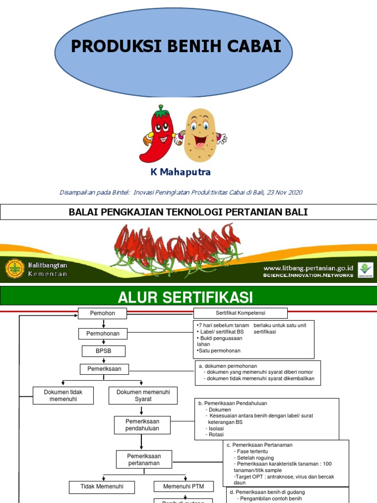 Tek. Benih Cabai | PDF