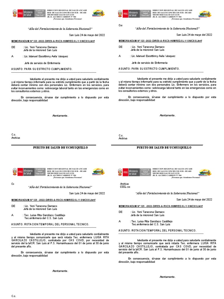 Modelo de Memo | PDF