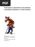 Equine Stifle Radiograph Guide | PDF | Knee | Anatomical Terms Of Location