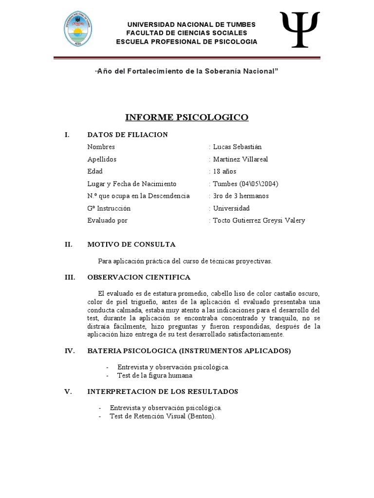 Informe Psicologico 2 | PDF