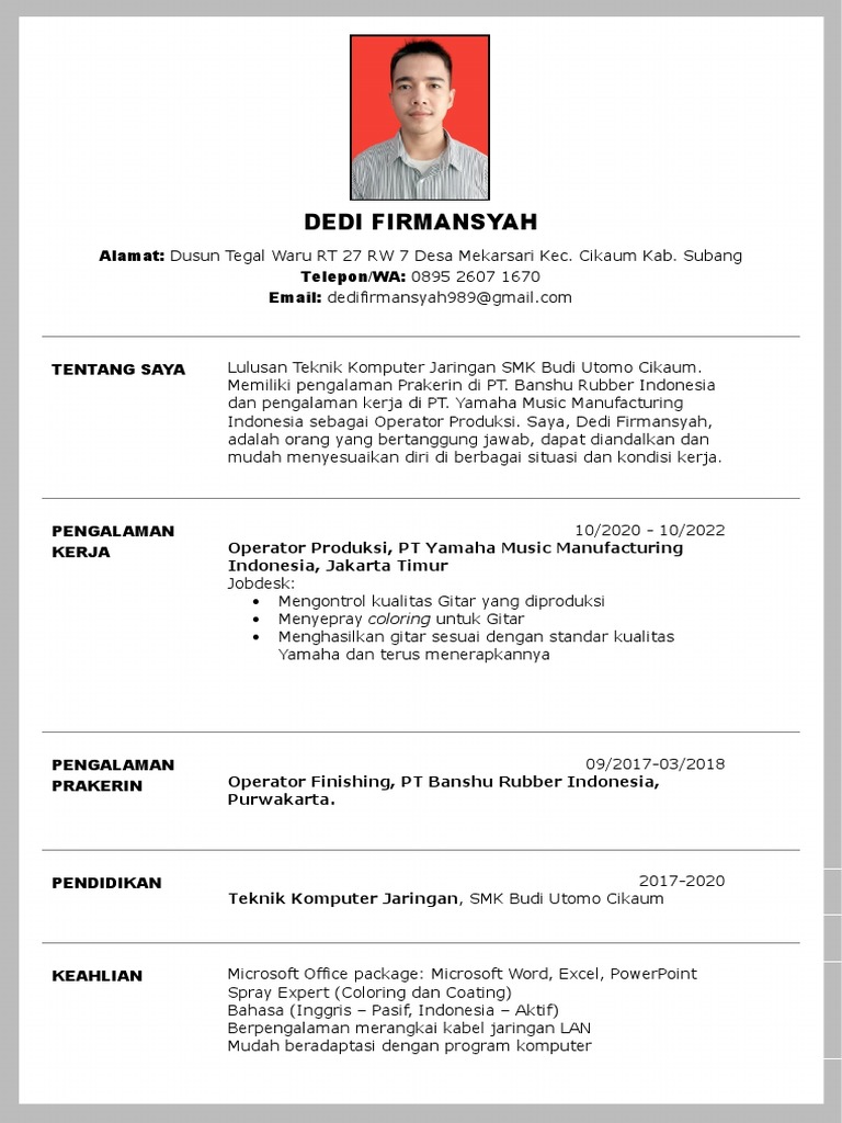 CV Dedi | PDF