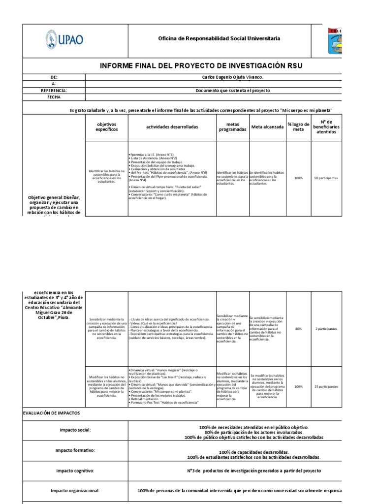 Informe Final Excel | PDF