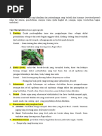 Hama Penyakit Tanaman Terong | PDF