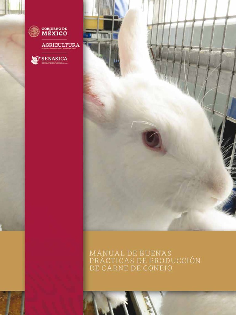 Manual de Buenas PR Cticas de Producci N de Carne de Conejo 2019 | PDF | Alimentos | Agua