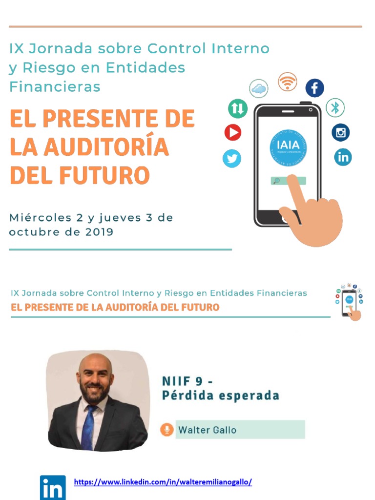 Auditoría de Pérdida Esperada NIIF 9 | PDF | Riesgo crediticio | Interés