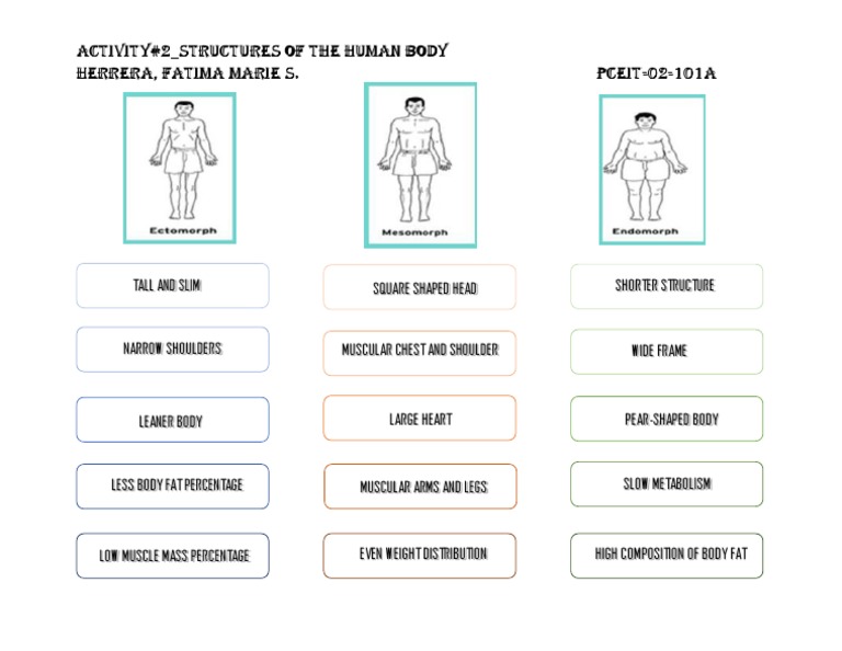 Structures of The Human Body | PDF | Self-Improvement | Wellness