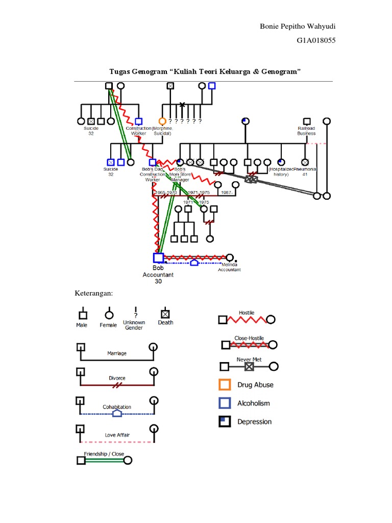 (REVISI) Genogram - G1A018055 | PDF