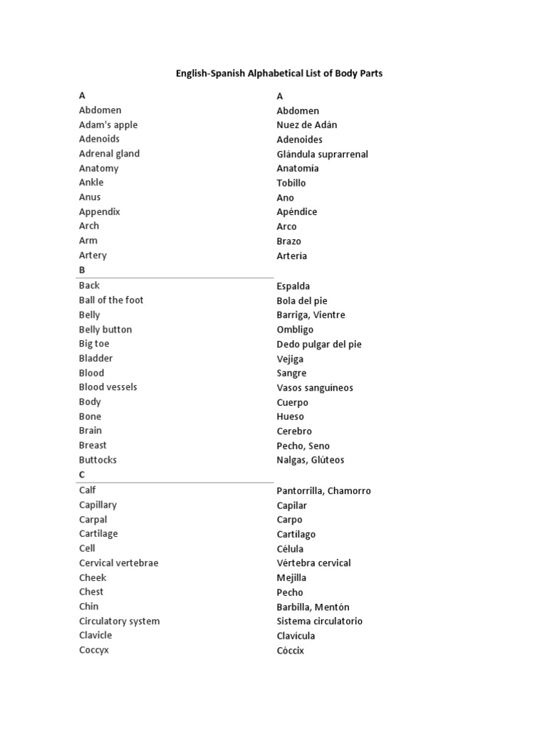 English-Spanish Alphabetical List of Body Parts | PDF | Abdomen | Anatomía