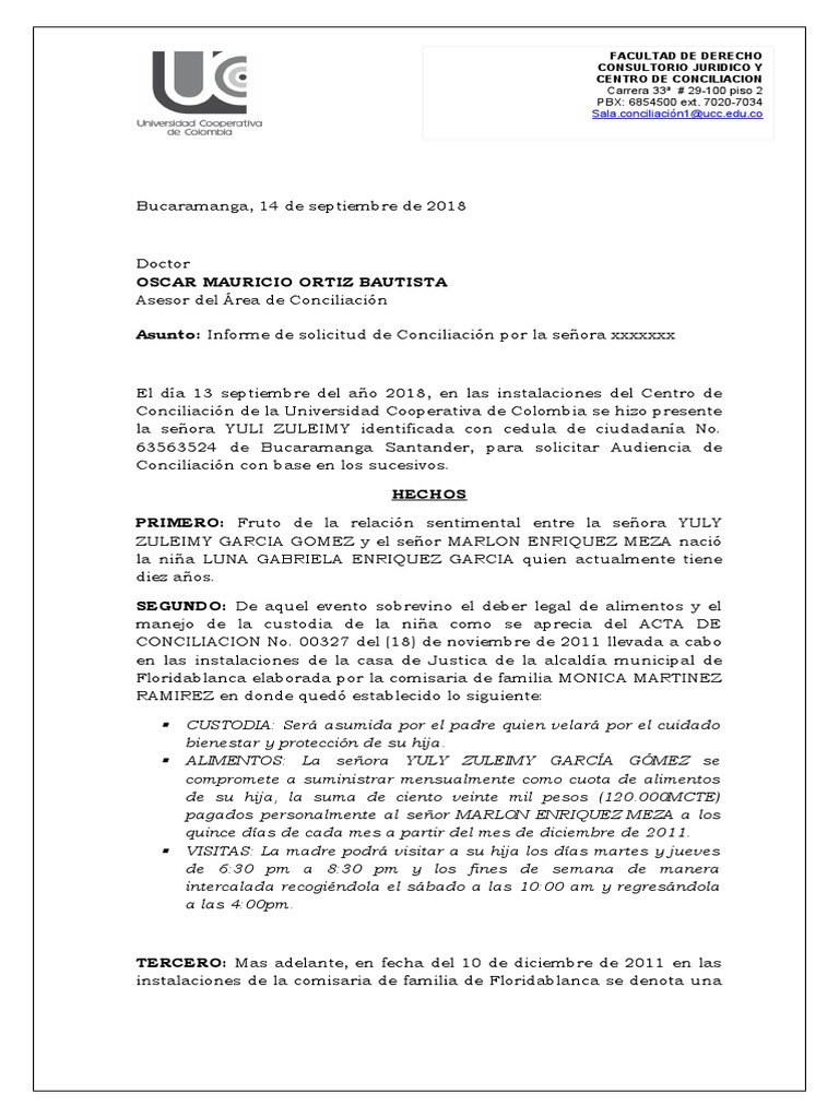 Formato de Primer Informe | PDF