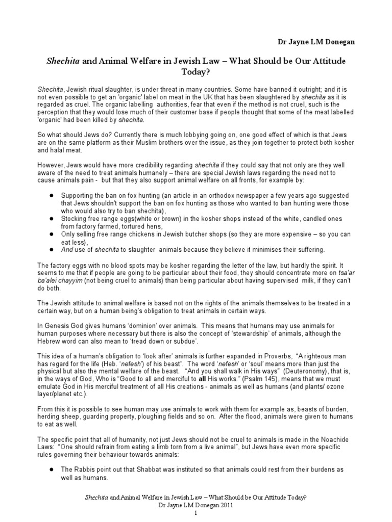 Shechita DR Jayne LM Donegan | PDF | Animal Slaughter | Jews And Judaism