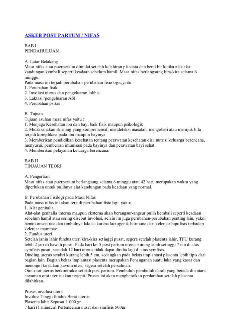 LP Masa Nipas | PDF | Kesehatan Holistik