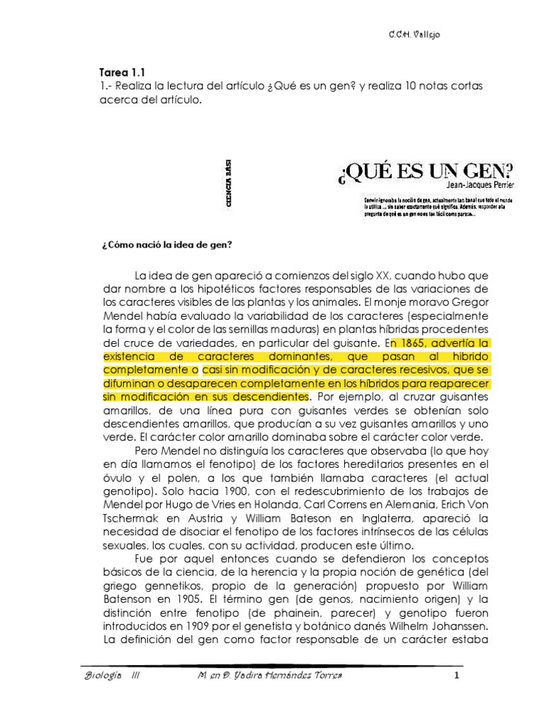 Qué Es Un Gen | PDF | Rna | Mutación
