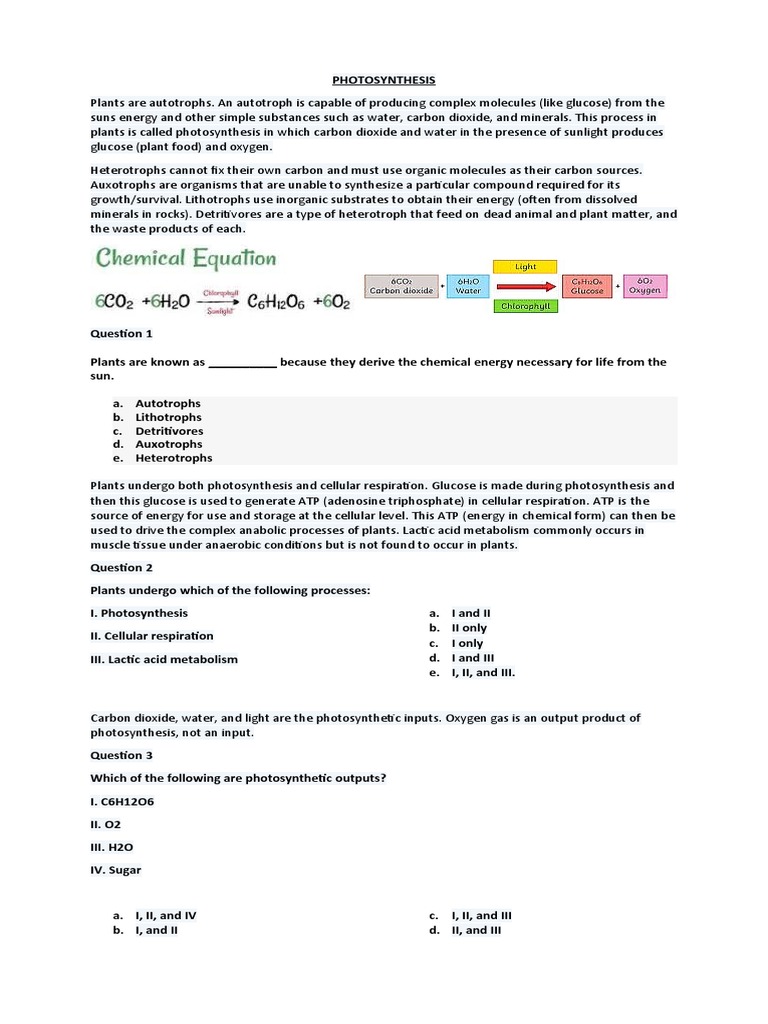 Photosynthesis HSB | Download Free PDF | Photosynthesis | Leaf