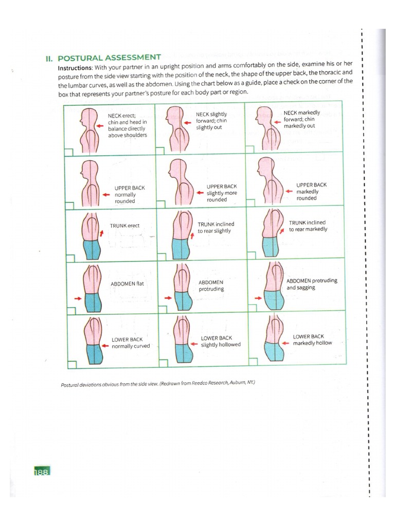 Postural Assessment | PDF