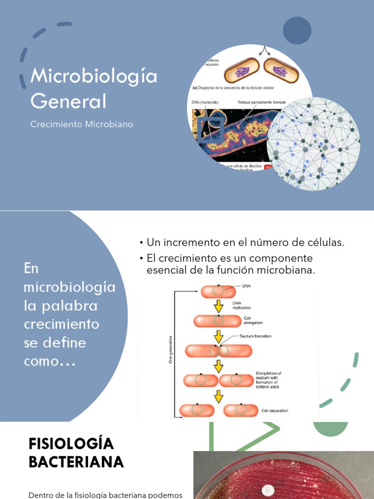 Crecimiento Microbiano y Agentes Químicos | PDF
