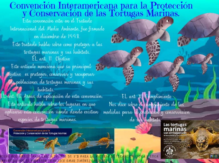 Convención Interamericana para La Protección y Conservación de Las ...