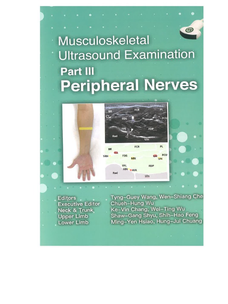 Peripheral Nerves | PDF