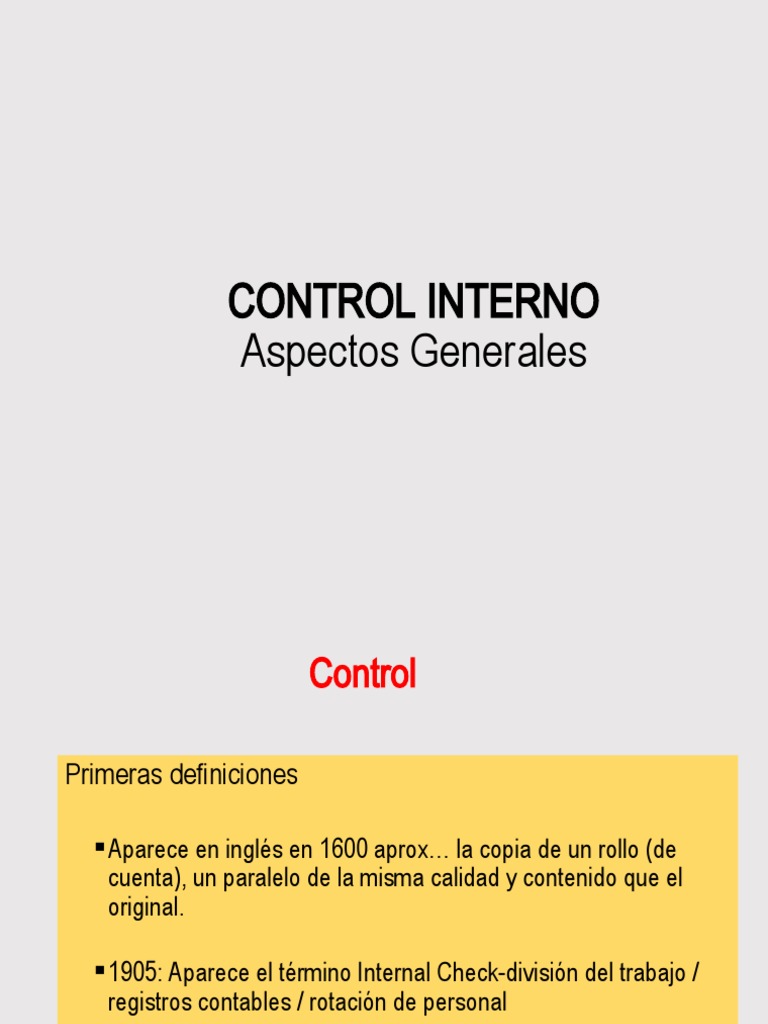 Principios del Control Interno | PDF | Contabilidad | Informática