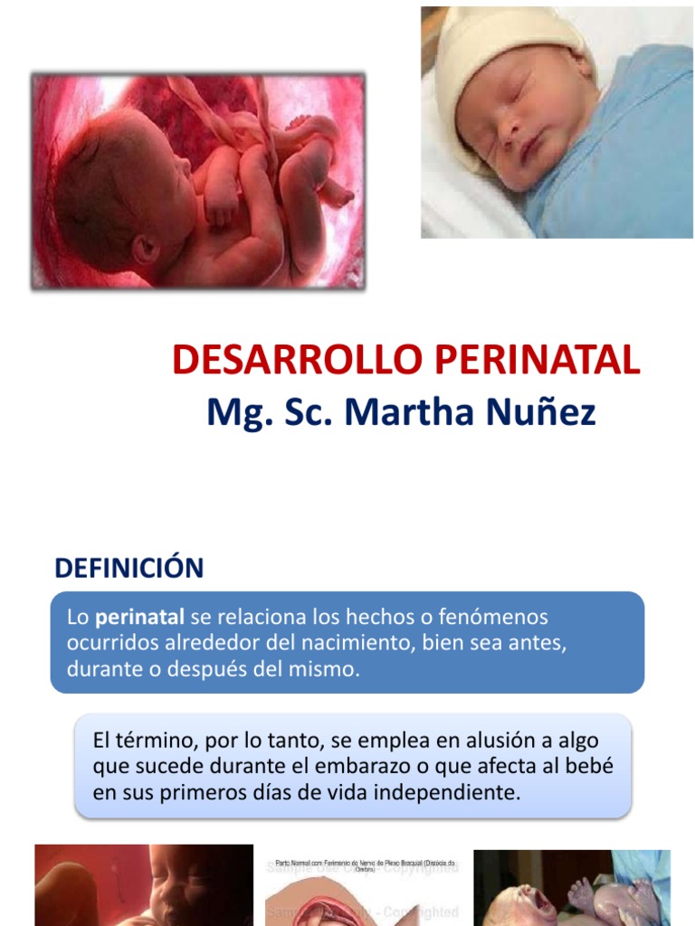 Desarrollo Perinatal | PDF | Parto | El embarazo