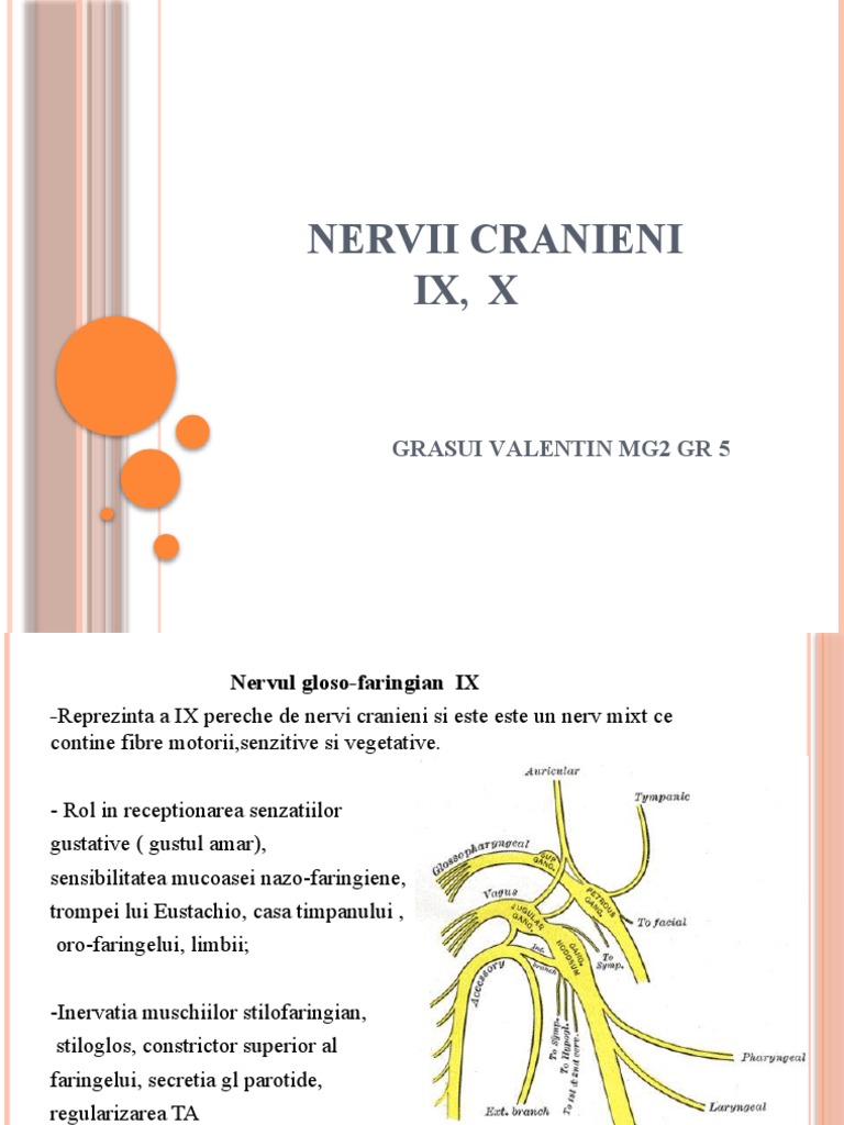 NERVII CRANIENI IX Si X | PDF