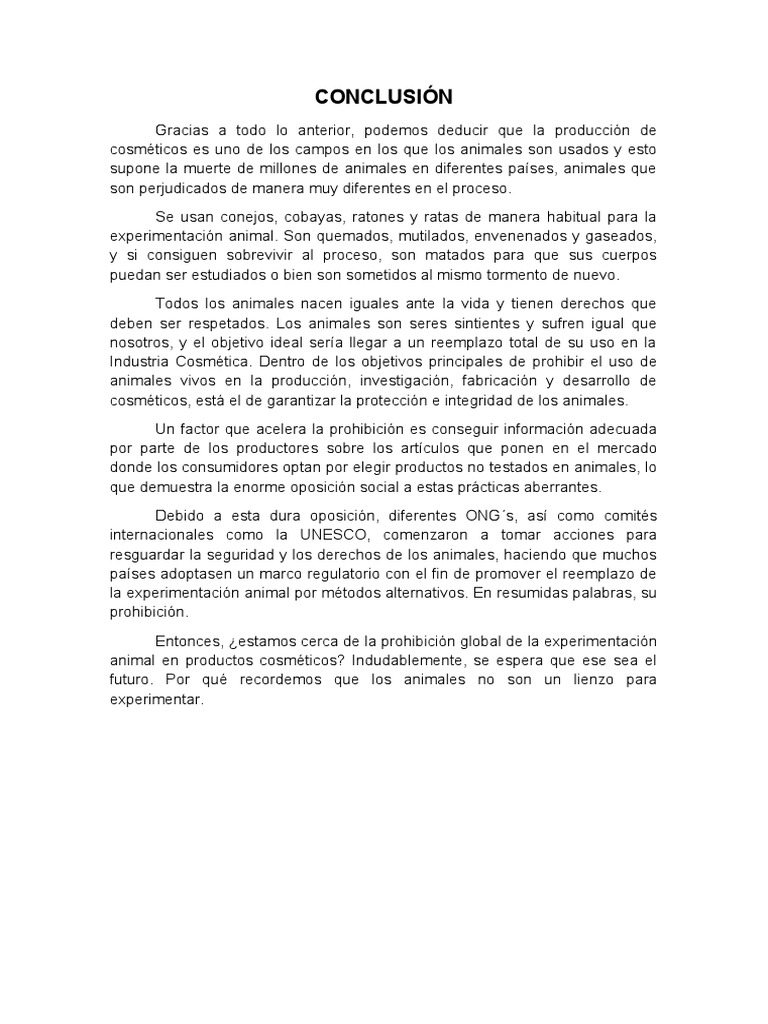 Conclusión - Ensayo | PDF