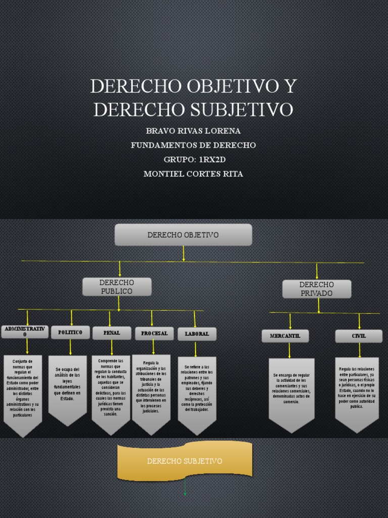 Derecho Objetivo Y Subjetivo Explicado Pdf Ley Pública Justicia