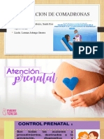 Carnet de Control Prenatal | PDF