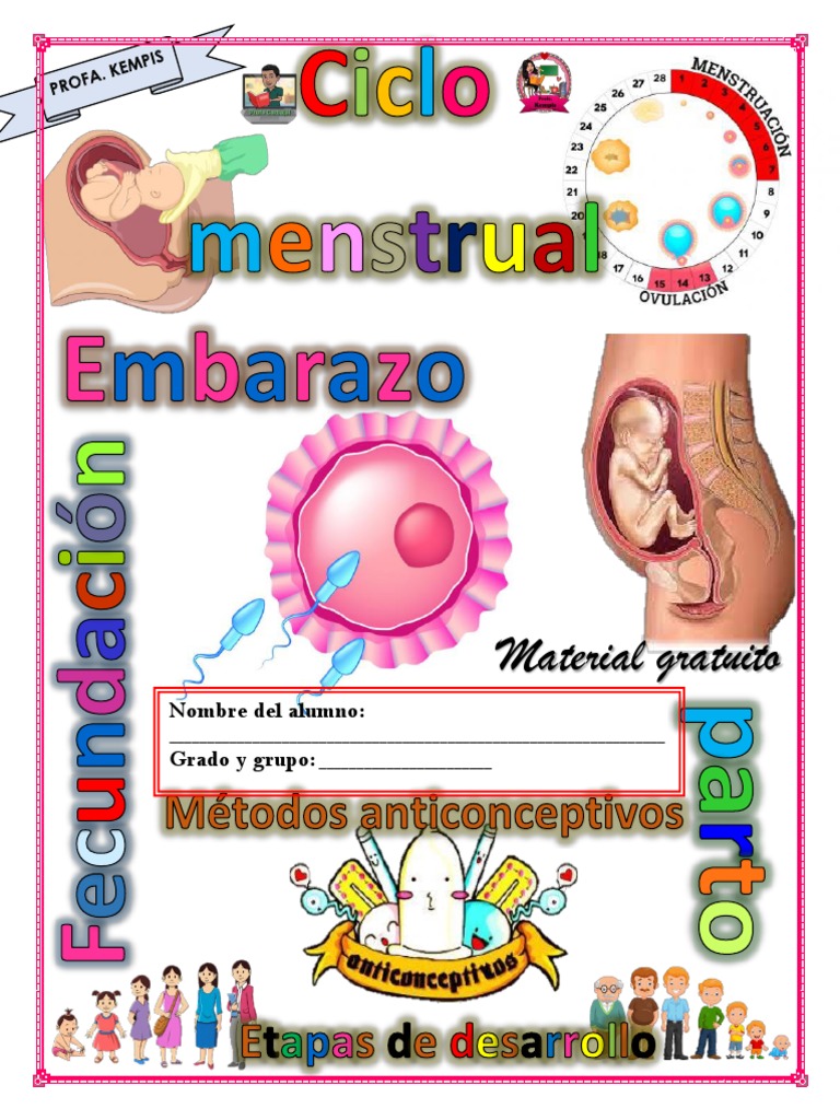 Cuadernillo Sexualidad | PDF | Ciclo menstrual | Menstruación