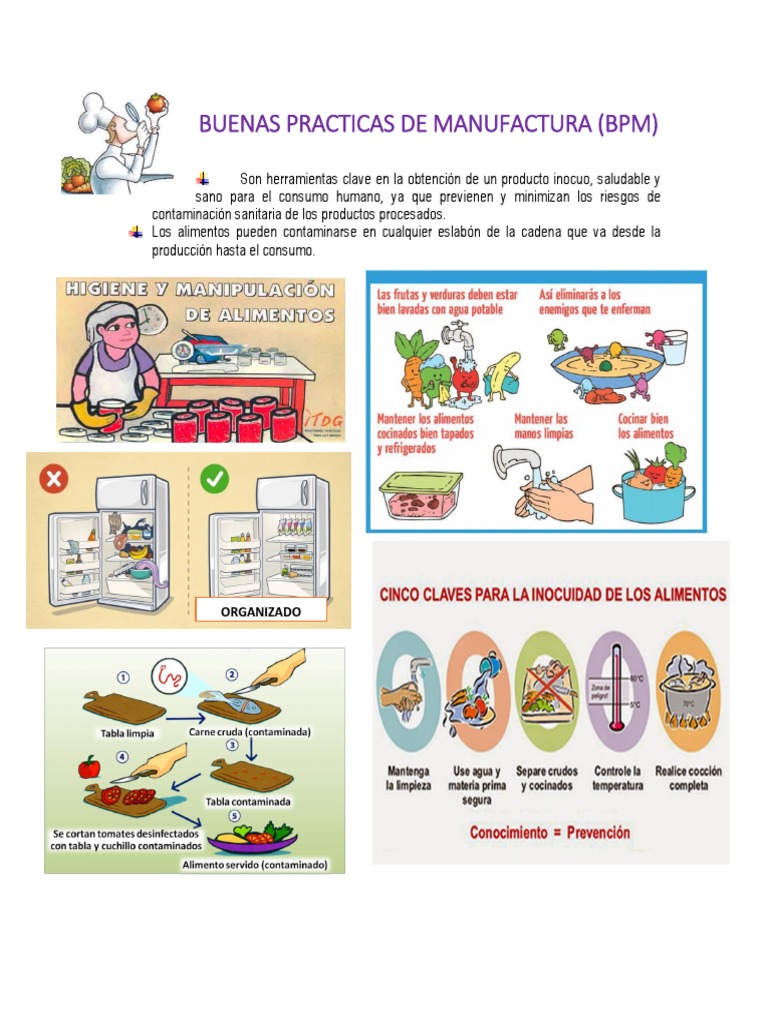 Buenas Prácticas de Manufactura en Alimentos | PDF