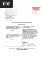 Injunction Basics and Sample Form | PDF | Injunction | Pleading