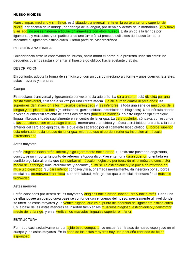 Anatomía Del Tronco, Miembro Superior y Miembro Inferior | Descargar ...