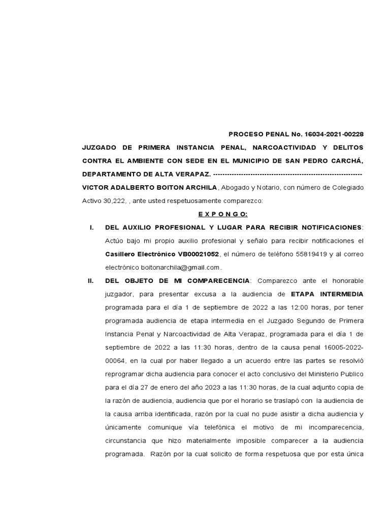 Memorial Presentando Excusa Victor Boiton Caso Francisca Carcha | PDF ...