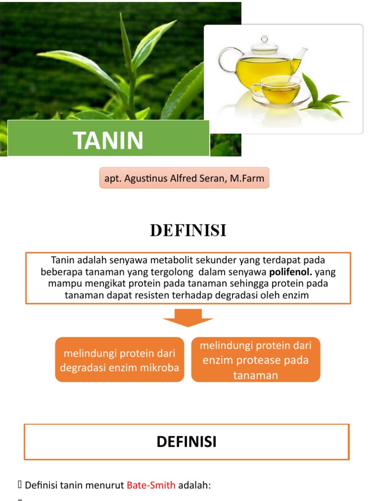 Tanin | PDF