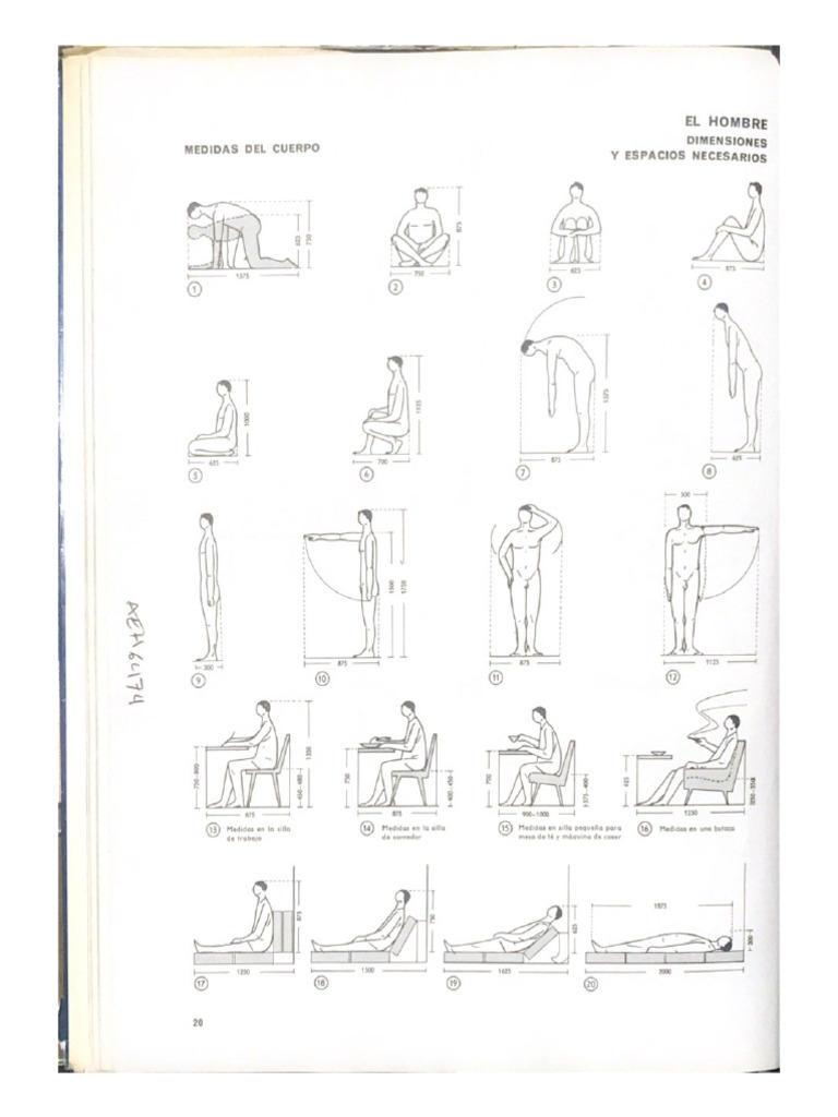 Neufert | PDF