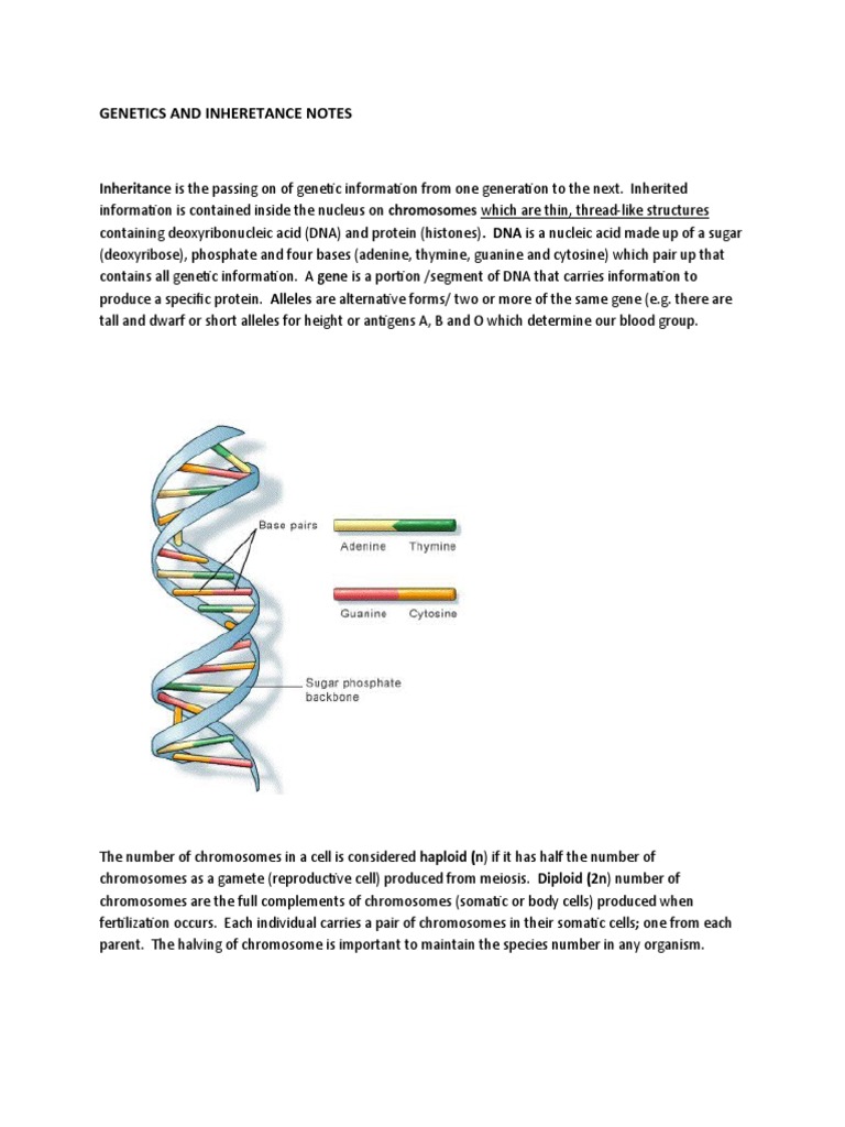 Genetics & Inheritance Guide | PDF | Dominance (Genetics) | Genetics