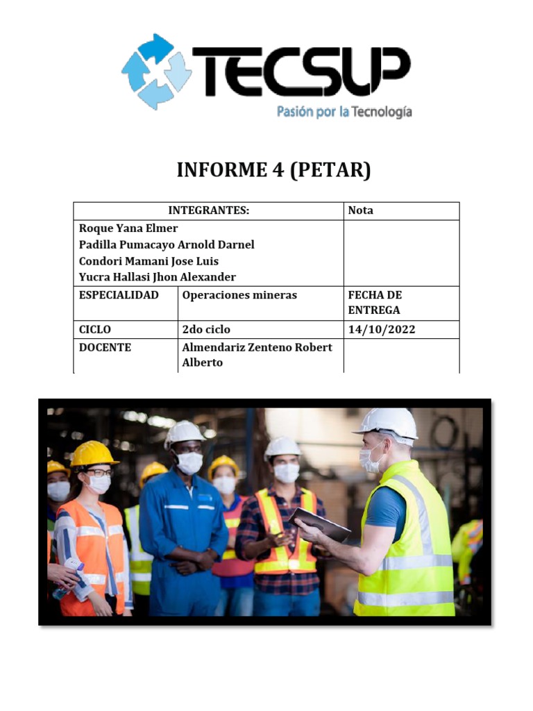 Informe 4 (PETAR) | PDF