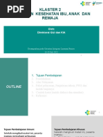 Klaster 2 Dan 3 Kesmas | PDF