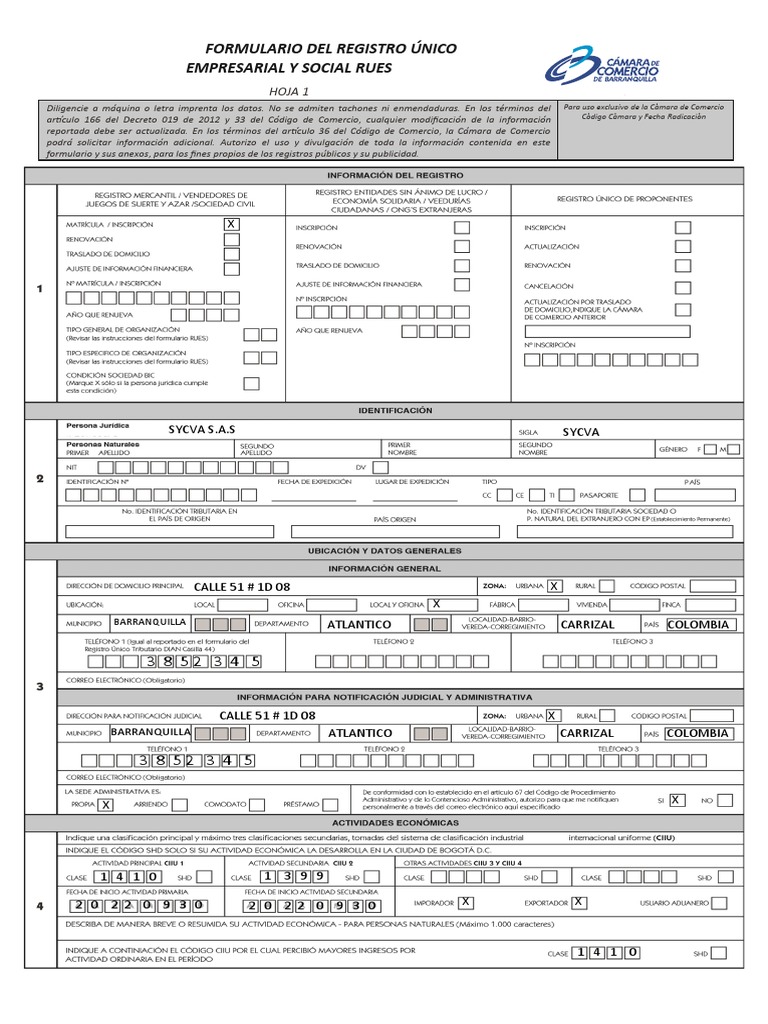 Formulario Rues | PDF