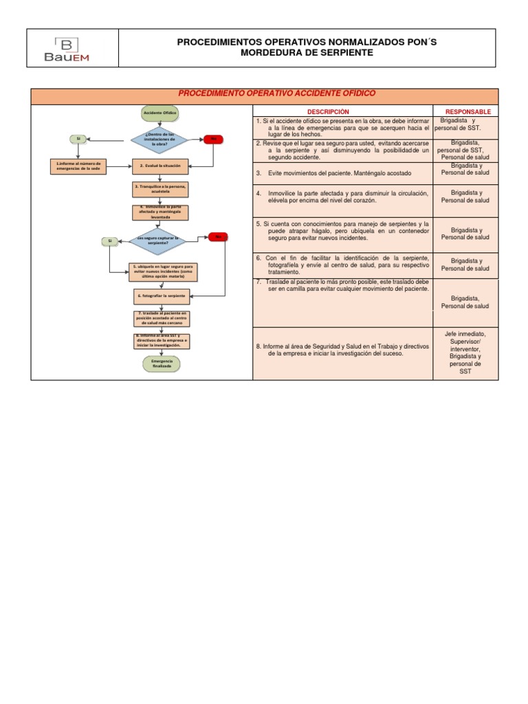 Pons Mordedura-De-Serpiente | PDF