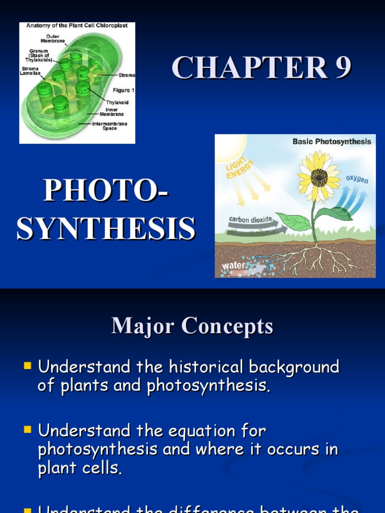 Chapter 9 Bio Notes Photosynthesis | PDF